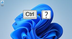 How to select everything in Windows 11 (files and folders)