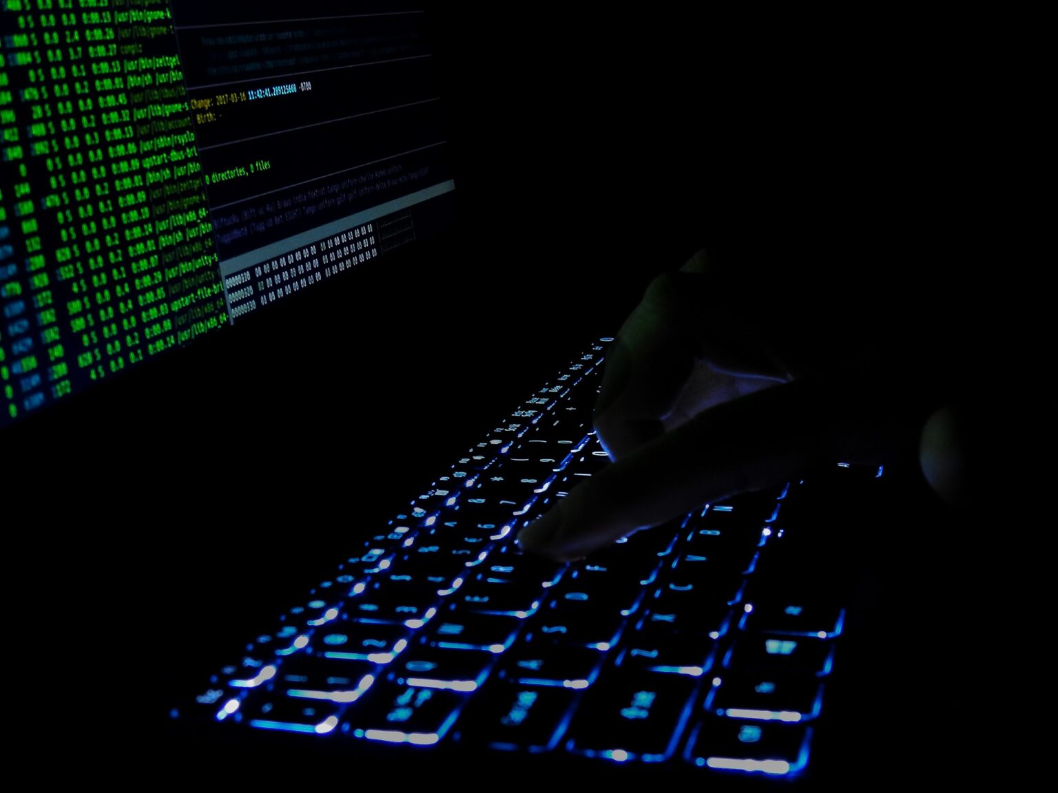 Learn how to use Wireshark on Windows easily and up to date