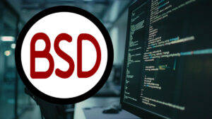 The best BSD distributions for any technical need