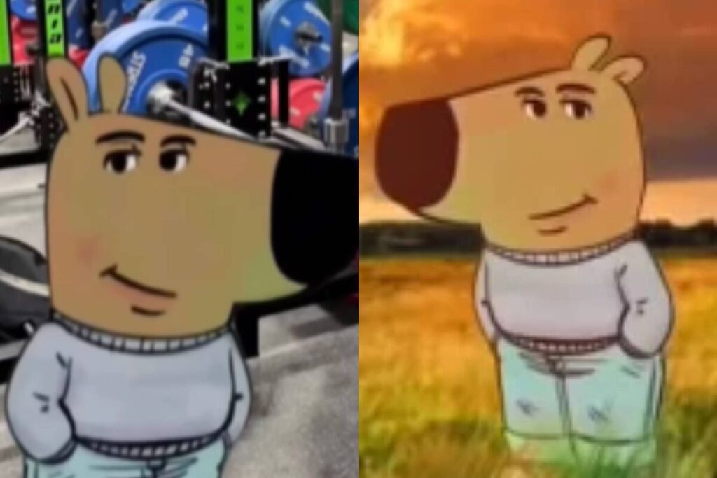 Chill Guy: The dog that conquered social media