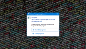 How to fix WindowsPackageManagerServer.exe error
