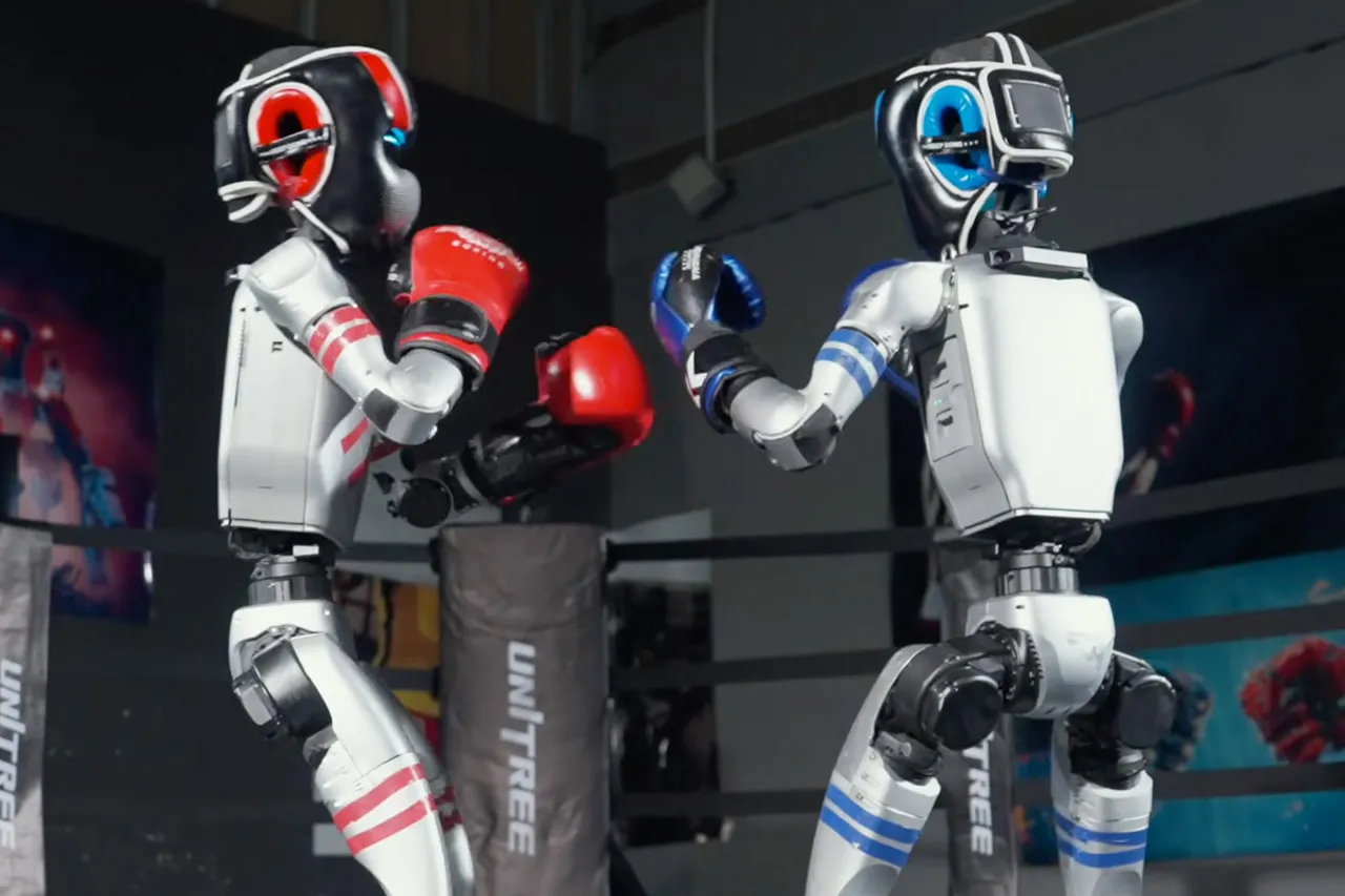 Dies ist der CMG World Robot Contest: 1. Roboter-Boxturnier