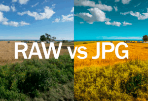 What is a RAW file? Advantages, uses, and key differences