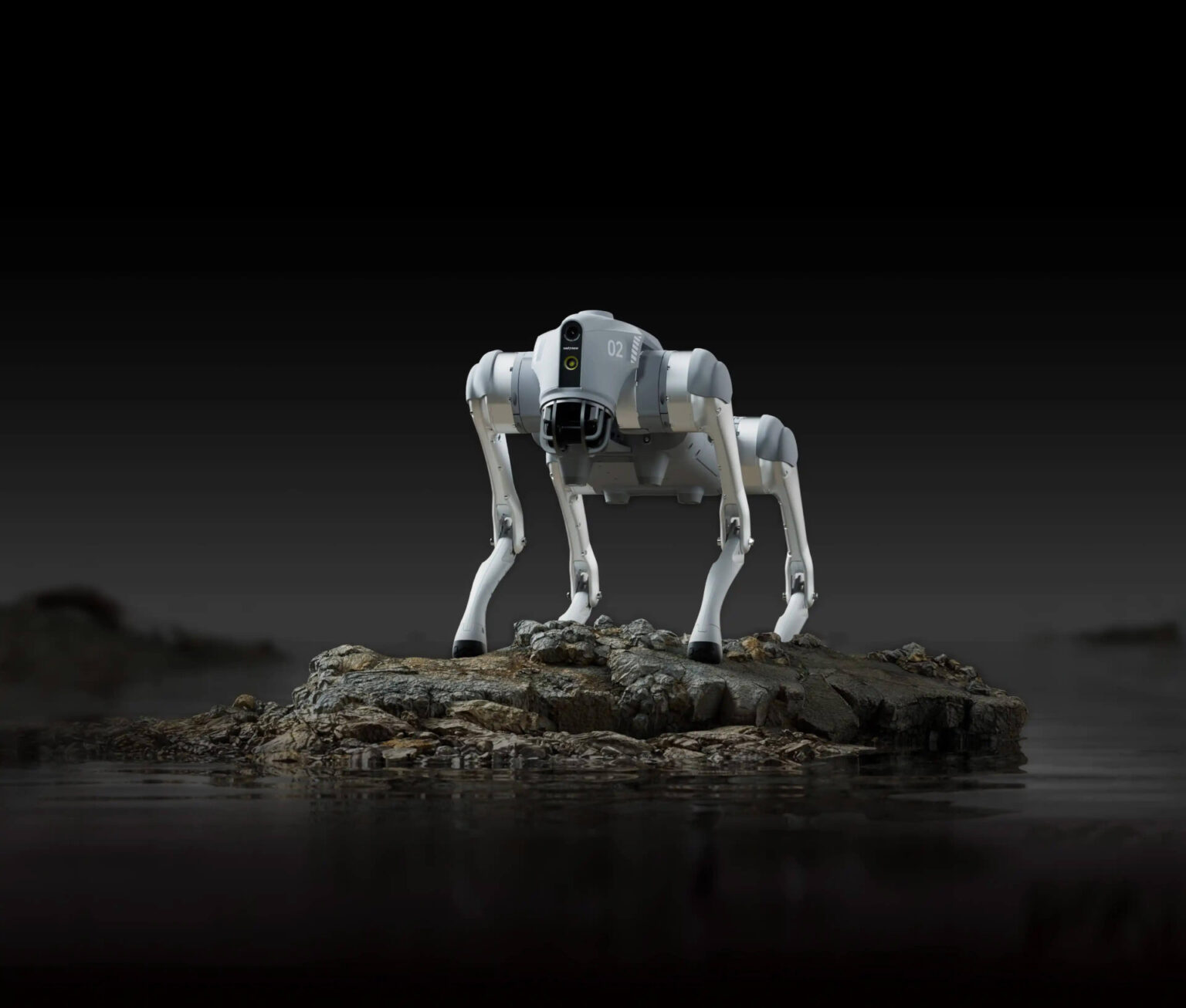 Claude và chú chó robot: những phát hiện từ Dự án Fetch
