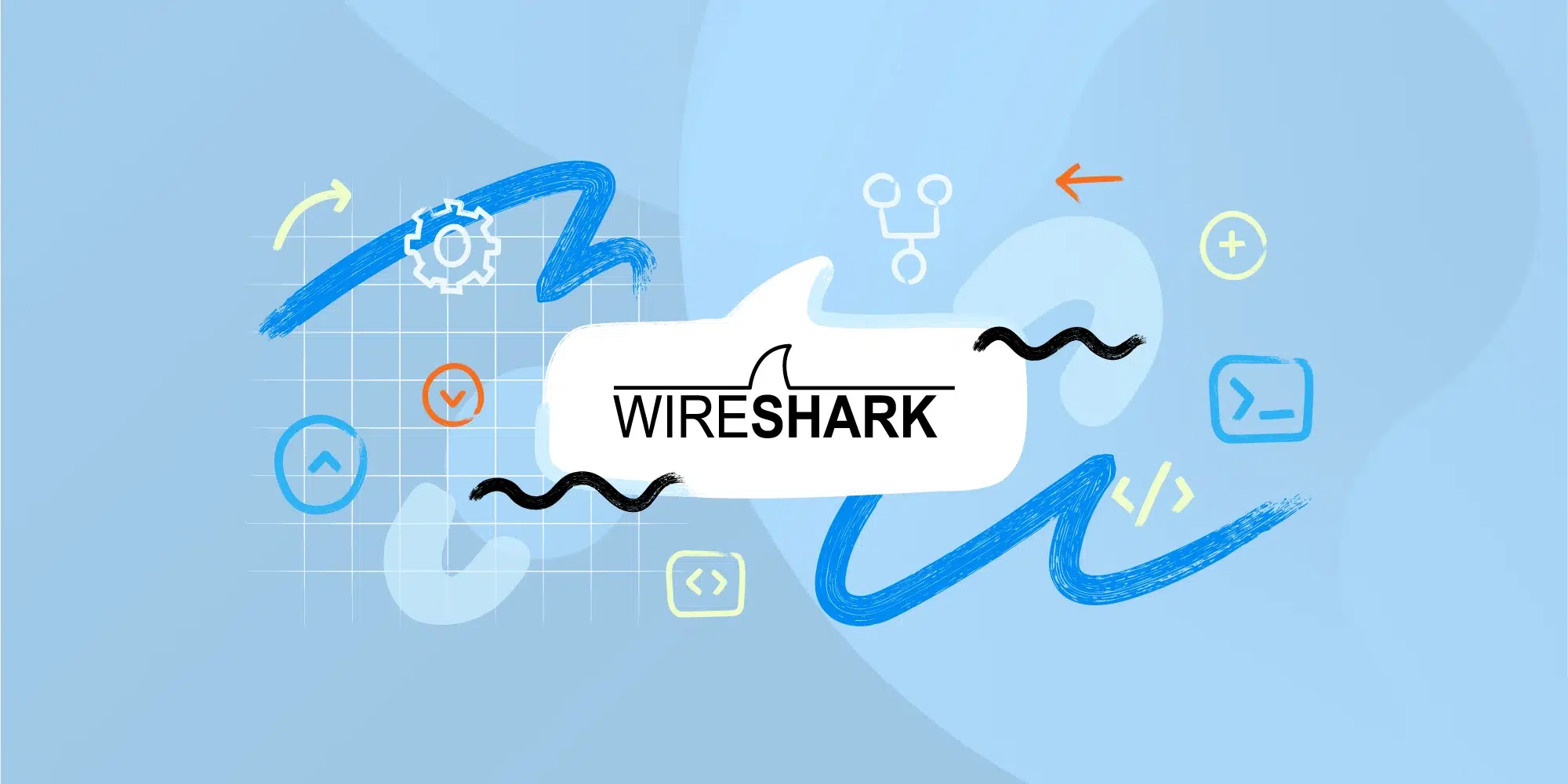 Wireshark: guía completa de uso, paquetes y utilidades